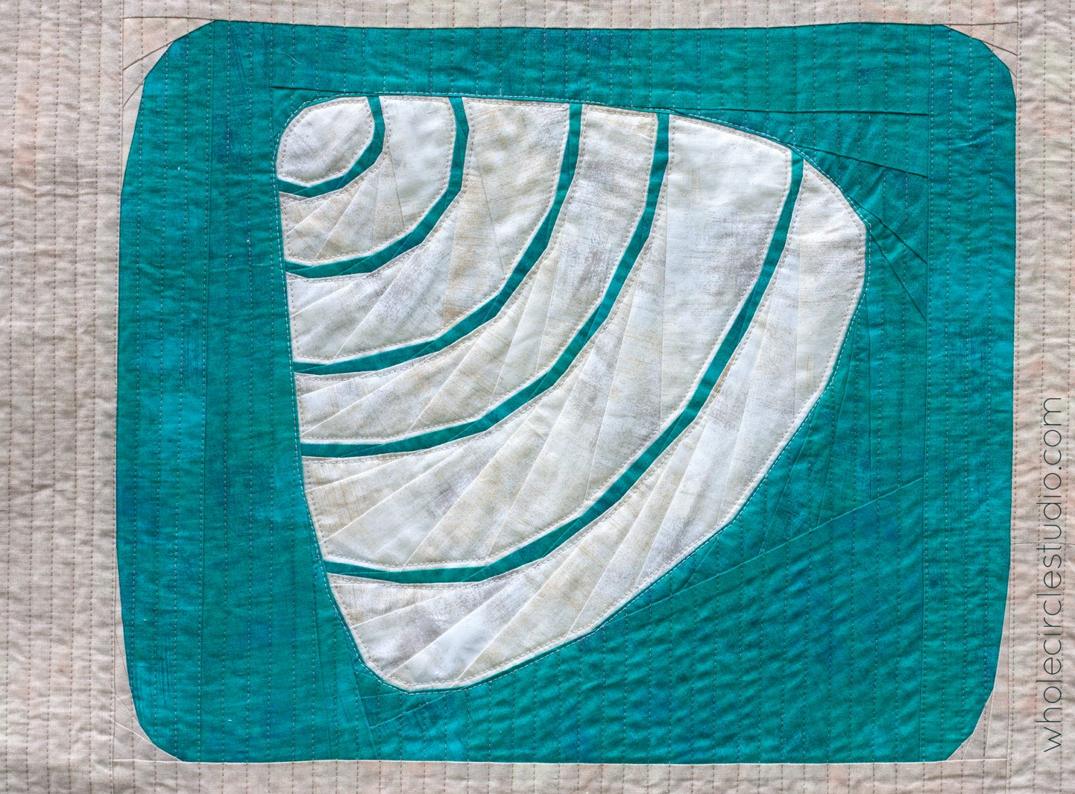 Shoreline Shells | whole circle studio